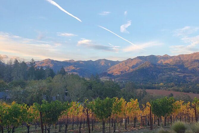 Napa and Sonoma Private Transportation - A Detailed Look at the Experience