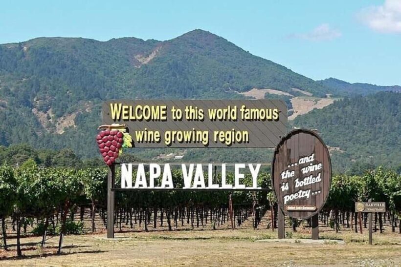 Napa and Sonoma Small Group Wine Tour from San Francisco - What to Expect from the Napa and Sonoma Small Group Wine Tour
