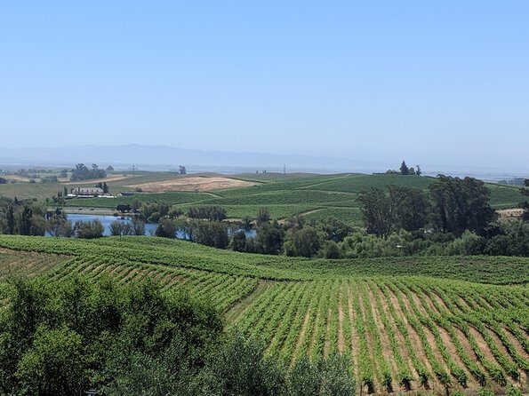 Napa and Sonoma Valley Wine 6 hour Tour from San Francisco - Key Points