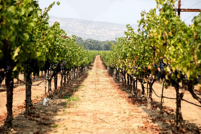 Napa and Sonoma Wine Country Full-Day Tour from San Francisco - Transportation and Group Dynamics