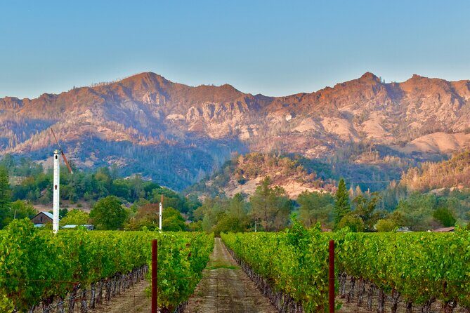 Napa Private 6-Hour Wine Adventure - Authenticity and Experience: What Travelers Say