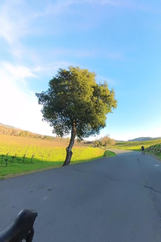 Napa/Sonoma: Guided Tour for Cycling Enthusiasts - Who Will Love This Tour?