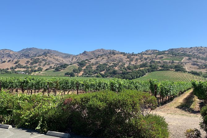 Napa & Sonoma Wine Tour | 6-8hr Private Fully Customized.*XL SUV - FAQs