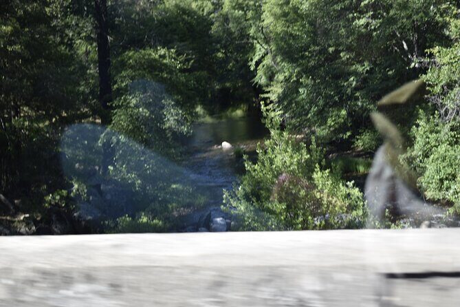 Napa & Sonoma Wine Tour Private Tours 8 to 10 Hours max 14 pax - Price Analysis and Value