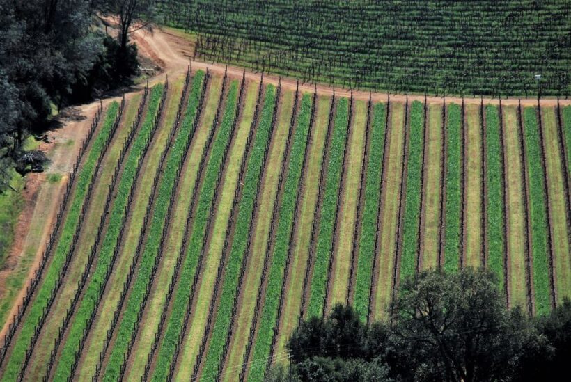 Napa Valley: Airplane Napa Valley Tour - What to Expect From Your Napa Valley Flight