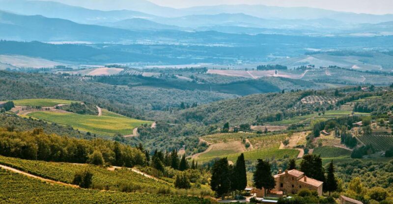 Napa Valley: Airplane Napa Valley Tour - Why This Tour Works Well