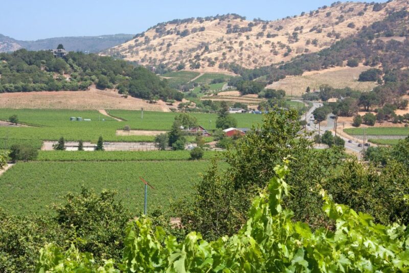 Napa Valley: Driver & Guide Service California wine country - Cost and Value Analysis