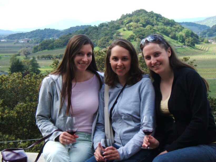 Napa Valley: Guided Wine Tour with Picnic Lunch - The Sum Up: Who Will Love This Tour?