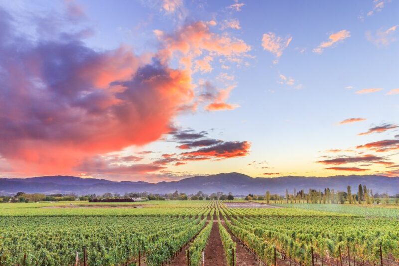 Napa Valley: Guided Wine Tour with Picnic Lunch - Practical Tips for Travelers