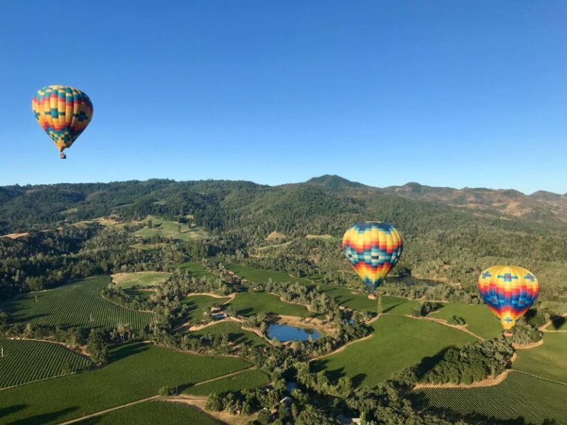 Napa Valley: Hot Air Balloon Adventure - The Experience: A Step-by-Step Breakdown