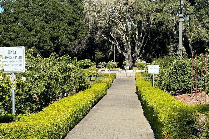 Napa Valley Luxury Wine Tours & Car Services - What Do the Reviews Say?