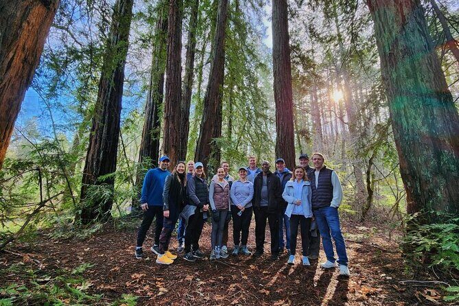 Napa Valley Redwood Hike - Discover Napa Valley’s Redwood Hike: A Nature Escape in Wine Country