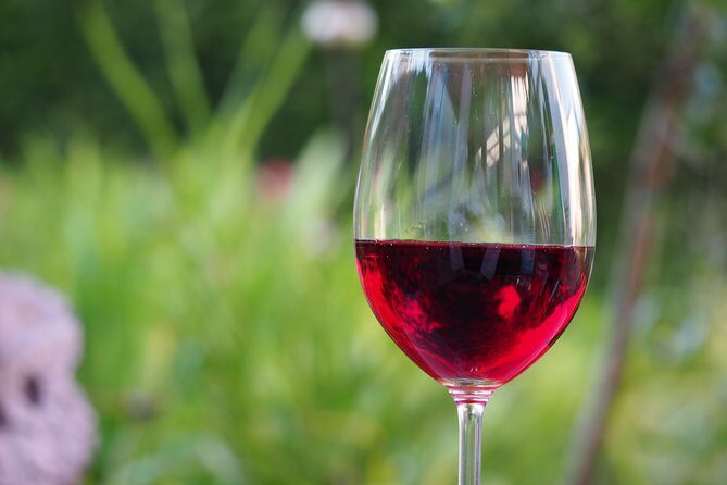 Napa Valley Wine Tasting Tour 6 to 8 Hours max 14 passenger - Analyzing the Experience: What to Expect