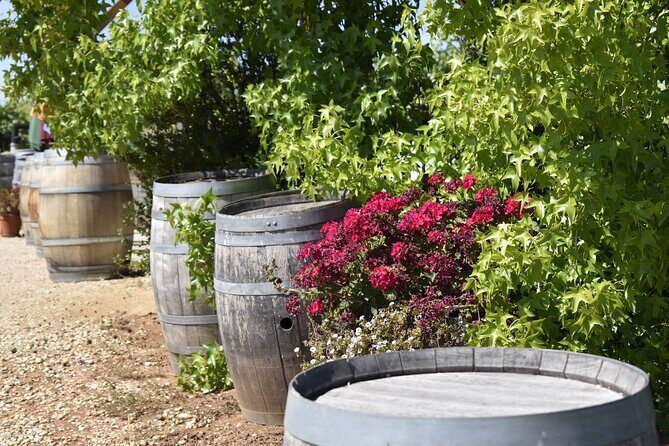 Napa Valley Wine Tasting Tour 6 to 8 Hours max 14 passenger - The Sum Up: Who is This Tour Best For?