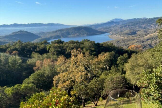 Napa Wine Tours - The Itinerary Breakdown: What to Expect