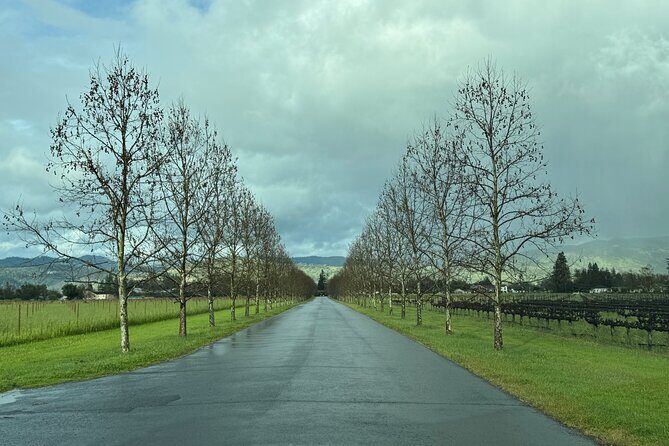 Napa Wine Tours - Who Is This Tour Best For?