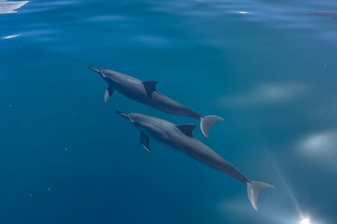 NaPali Boat Tour on the Amelia K - Health and Safety Guidelines