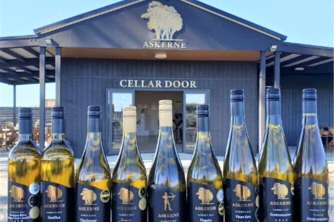 Napier Afternoon Winery, & Gin Tasting ( no gin Mon -Wed ) - In The Sum Up