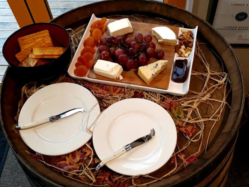 Napier: Afternoon Winery & Gin Tasting Tour - Key Points
