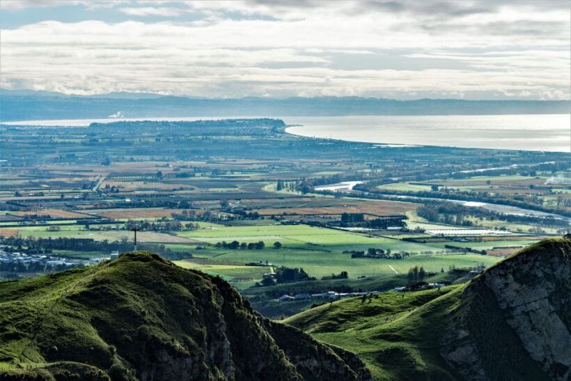 Napier: Art-Deco + Te Mata Peak+ Garden Walk + Wine Tasting - Visiting Your Guide’s Garden and Home