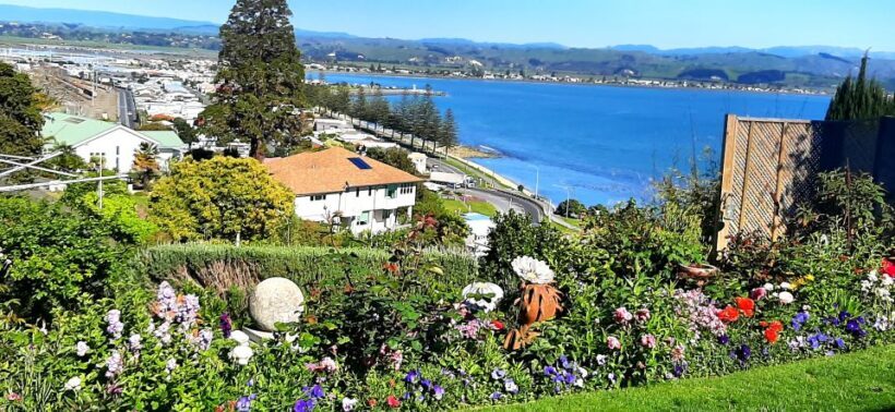 Napier: Art-Deco + Te Mata Peak+ Garden Walk + Wine Tasting - Te Mata Peak and the Heretunga Plains
