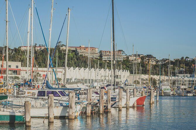 Napier Bike Hire - The Sum Up: Is Napier Bike Hire Worth It?