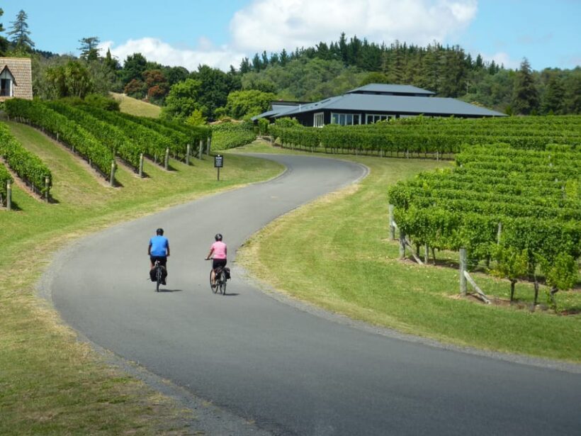 Napier: Cape Coast Winery Tour on Pedal or E-Bikes - An In-Depth Look at the Cape Coast Winery Bike Tour
