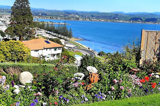 Napier City with 2 Premium Wineries Tour - Who Should Consider This Tour?