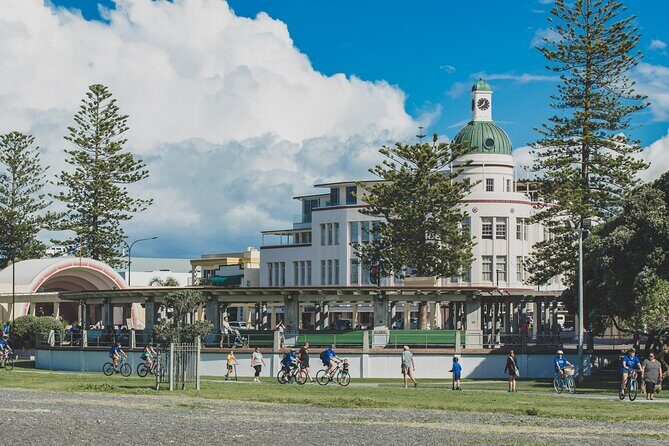 Napier E-bike Hire - Reviews: Authentic Voices