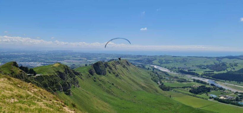 Napier: Highlights & Tour Exploring the Best of this Region - Key Points