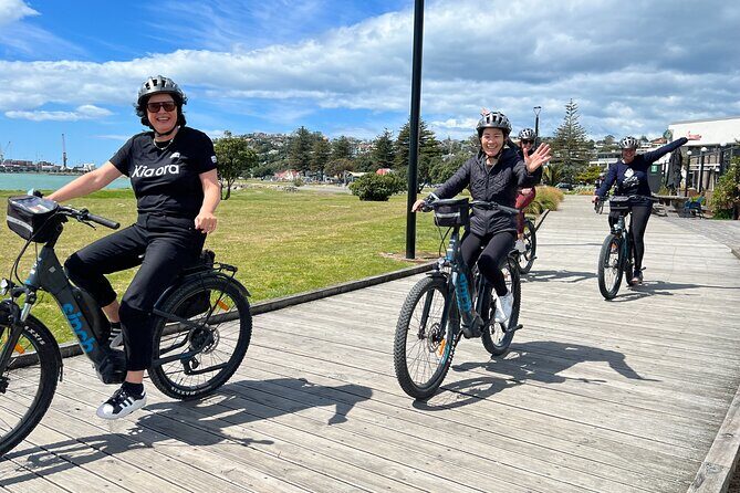 Napier: Shore Excursion Cycle Winery Tour - Half Day, self-guided - Key Points