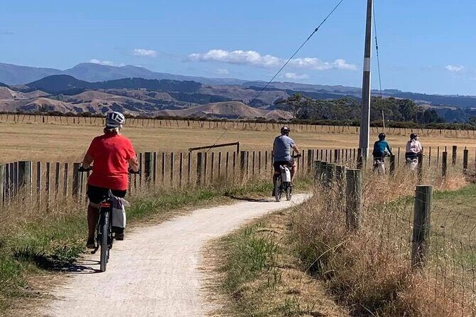 Napier: Shore Excursion Cycle Winery Tour - Half Day, self-guided - Who Will Love This Tour?