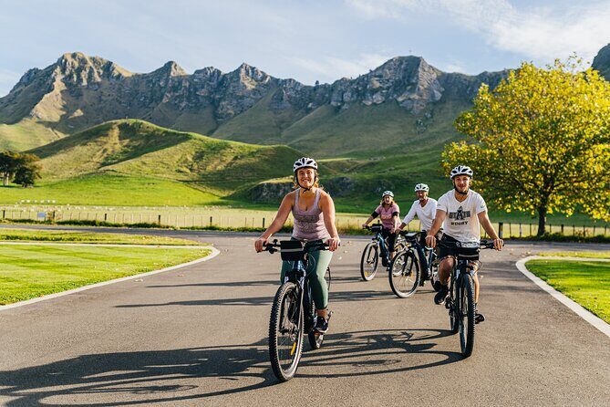 Napier Shore Excursion: Wine, Beer & Art Deco Tour - The Value Proposition