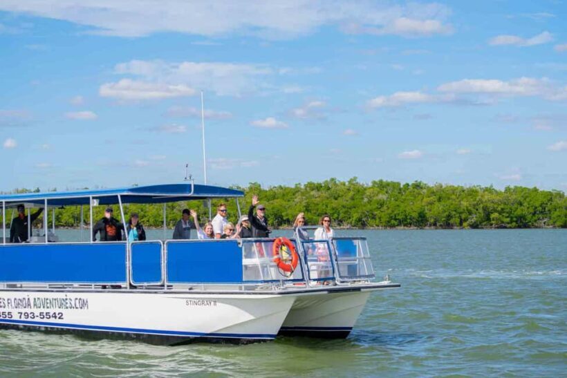 Naples: 10,000 Islands Boat and Wildlife Tour - Discovering the 10,000 Islands: A Deep Dive