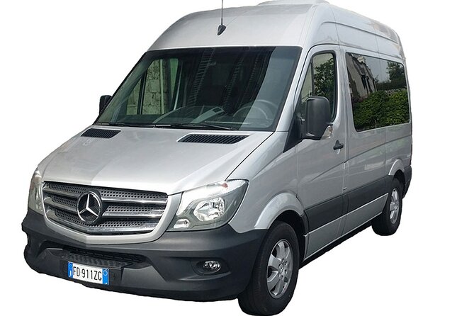 Naples Airport/Station to Positano or Ravello Private Arrival Transfer - Comfortable Vehicles and Luggage Accommodations