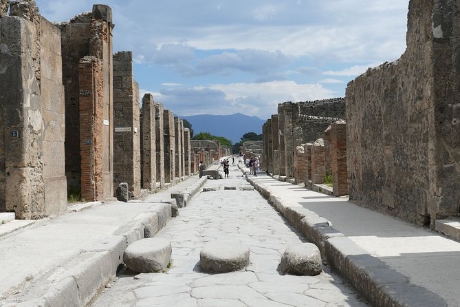Naples and Pompeii Half-Day Guided Tour From Naples - Tour Logistics and Inclusions