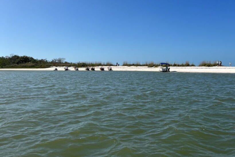 Naples, FL: Manatee, Dolphin, 10,000 Islands Beach Eco Tour - End of Tour and Return