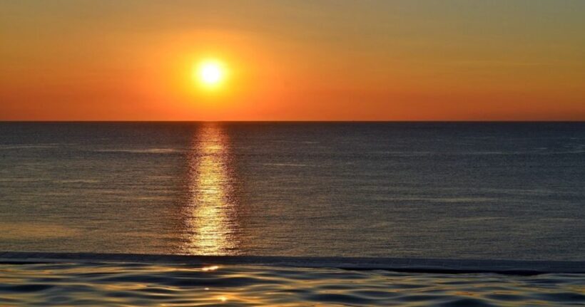 Naples, FL: Manatee, Dolphin, 10,000 Islands Sunset Cruise - Who Will Love This Tour?