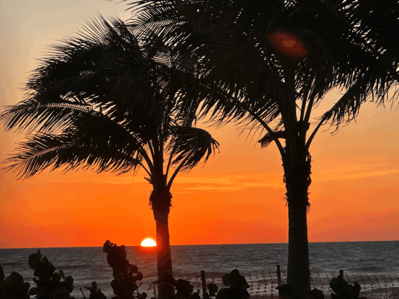 Naples Florida: Famous Sunset Tour - Electric Trike Tour - Who Will Love This Tour?