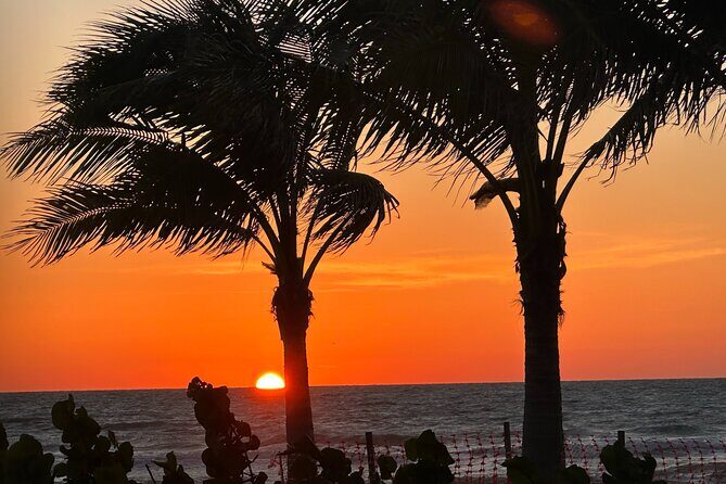 Naples Florida Sunset Tour -Trike Tour of Naples - Who Should Consider This Tour?