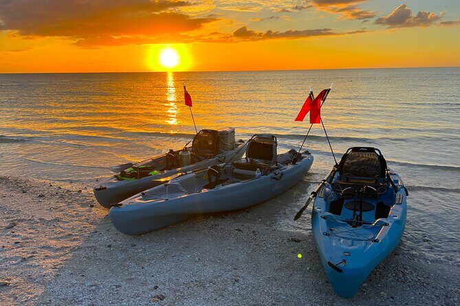 Naples Guided Sunset Kayak Tour Activity - The Experience in Detail