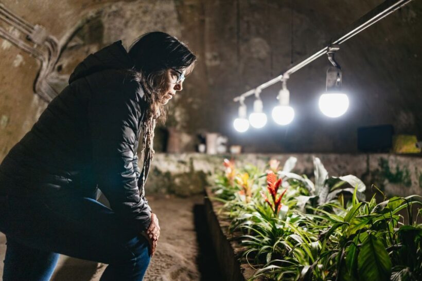 Naples: Naples Underground Entry Ticket and Guided Tour - A Detailed Look at the Naples Underground Guided Tour