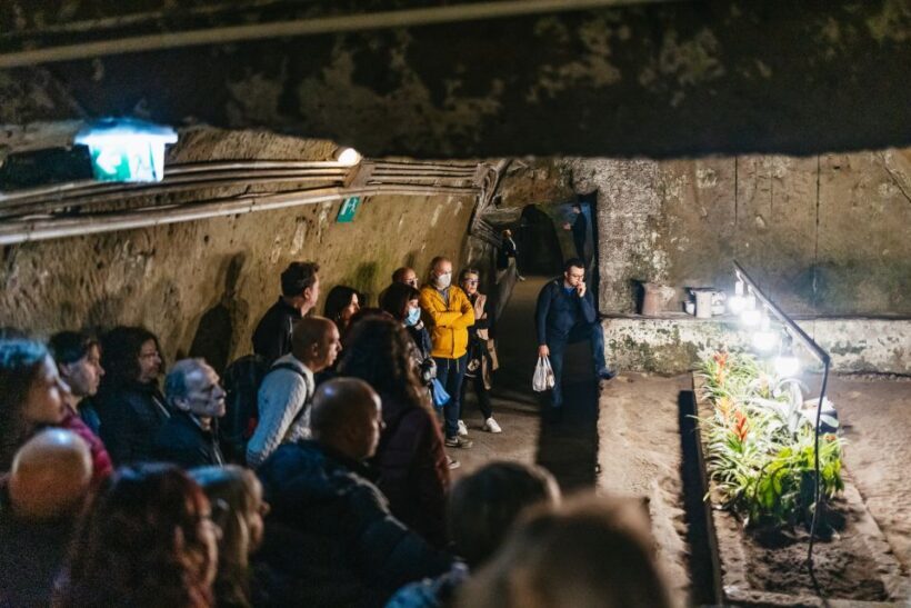 Naples: Naples Underground Entry Ticket and Guided Tour - Pricing and Value