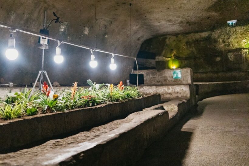 Naples: Naples Underground Entry Ticket and Guided Tour - Who Should Consider This Tour?