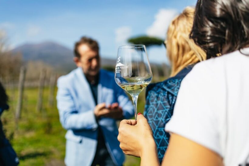 Naples: Pompeii and Mt. Vesuvius with Lunch and Wine Tasting - Price and Value for Money