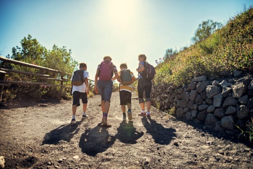 Naples: Pompeii & Mt. Vesuvius Day Trip with Tickets & Lunch - The Verdict: Who Should Consider This Tour?