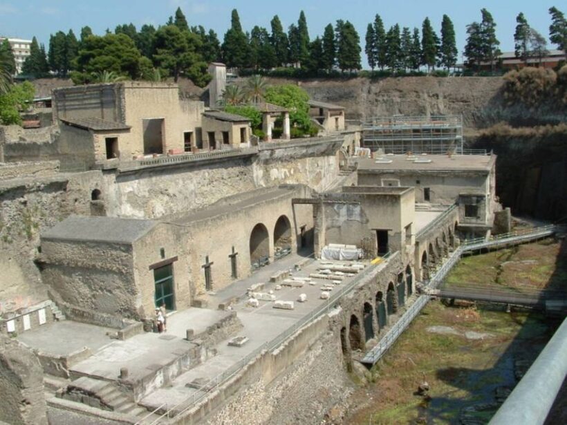 Naples: Pompeii, Vesuvius and Wine Tasting Tour - Who Will Appreciate This Tour?
