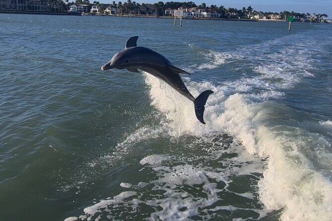 Naples Private Boat with All Beach Amenities and Captain - Why This Tour Offers Great Value