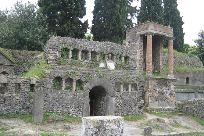 Naples Shore Excursion: Pompeii Half Day Trip From Naples - Customer Reviews and Experiences
