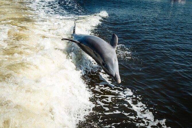 Naples Sightseeing Day Cruise 40' Vessel - Who Will Love This Tour?